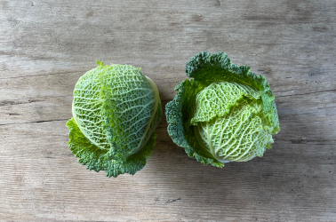 Cabbage - Sweetheart | Cambridge Organic Food Company