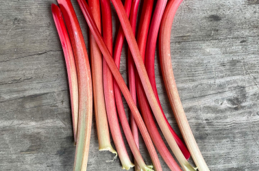 Rhubarb 250g | Cambridge Organic Food Company