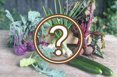 Surprise Me! - LOCAL PRODUCE | Cambridge Organic Food Company